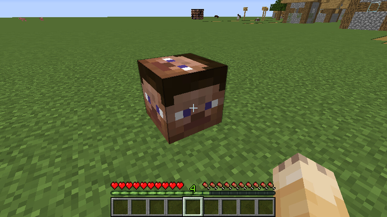 Steve Block Datapack For 1.16 - 1.17 Minecraft Data Pack