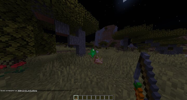 Raycasting Custom Damage Onto Mobs Minecraft Data Pack