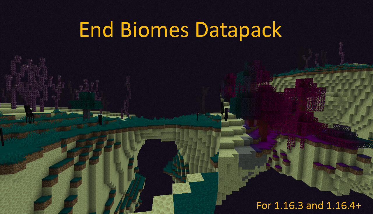 End Biomes and More Datapack Minecraft Data Pack