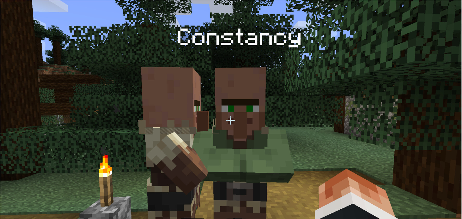 NameCraft Minecraft Data Pack