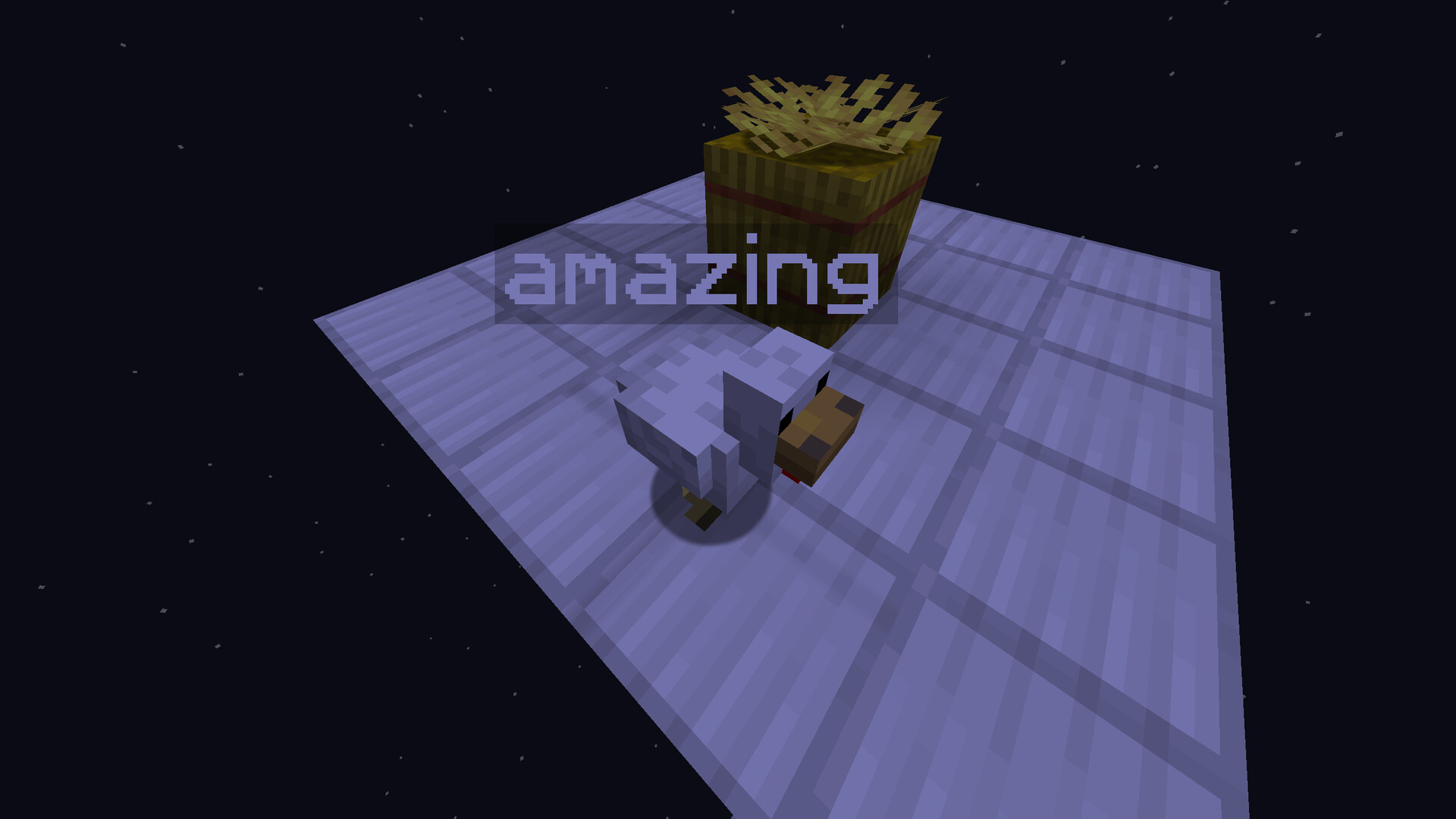 Chicken Pet Minecraft Data Pack