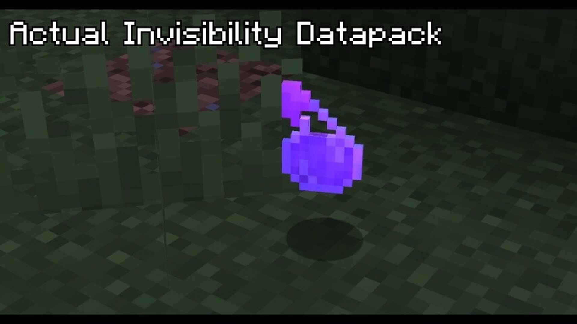 Actual Invisibility Datapack Minecraft Data Pack