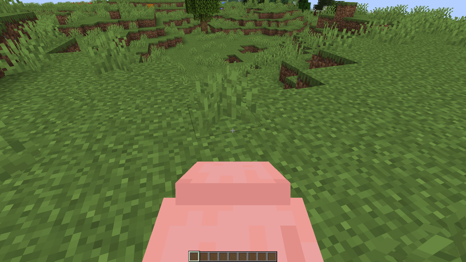 Turning into a Mob [1.19] Minecraft Data Pack