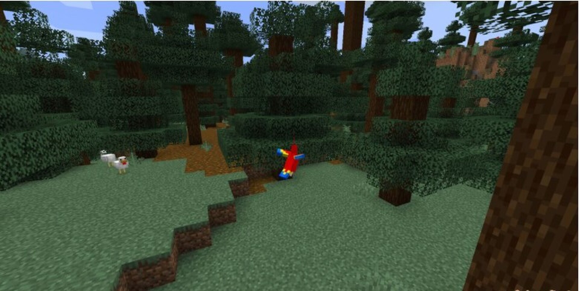 morph datapack Minecraft Data Pack