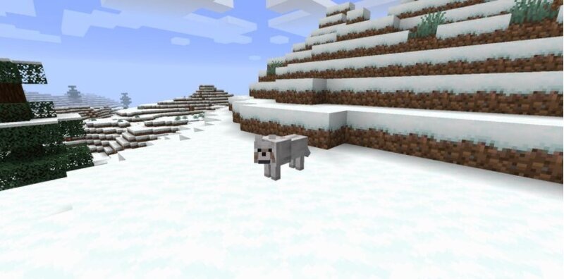 morph datapack Minecraft Data Pack