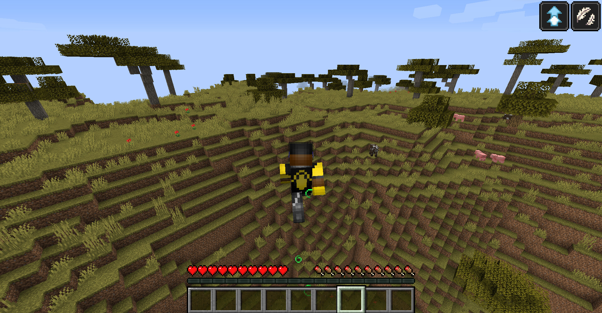 Potions Plus [1.16+] Minecraft Data Pack