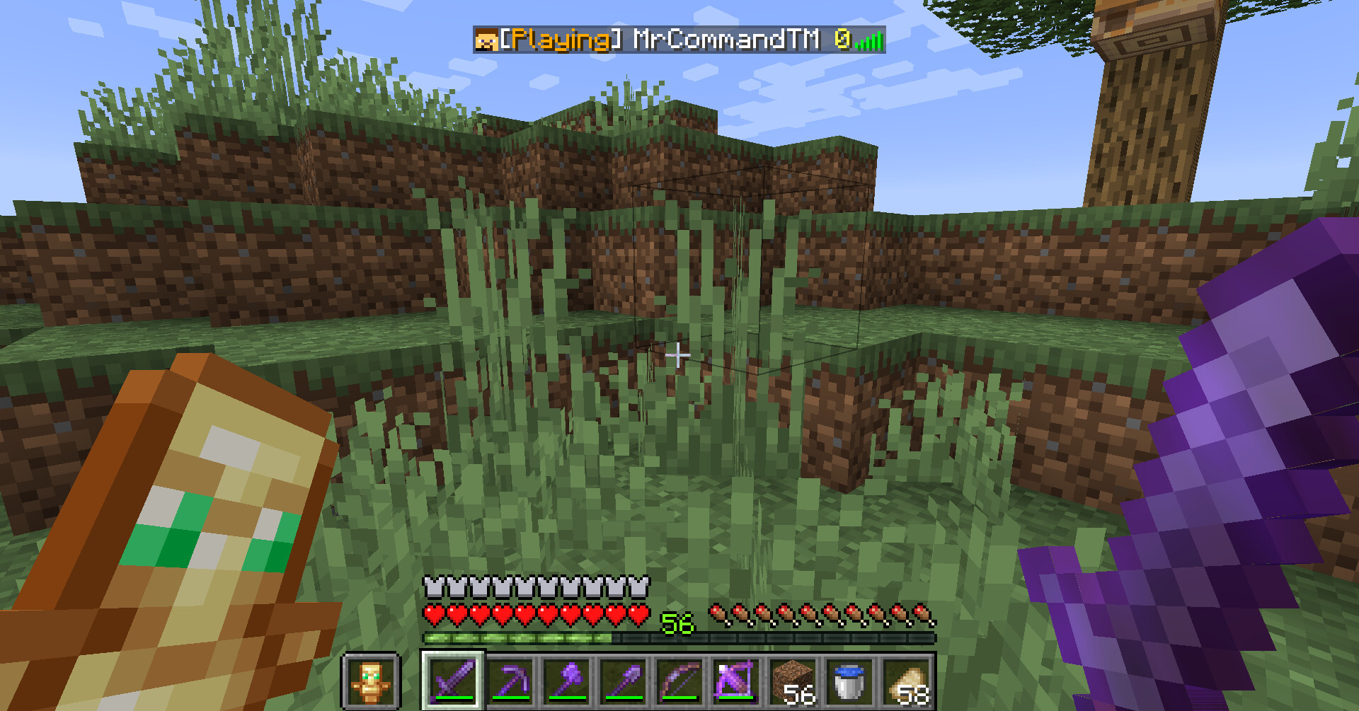 Status-Plugin Minecraft Data Pack