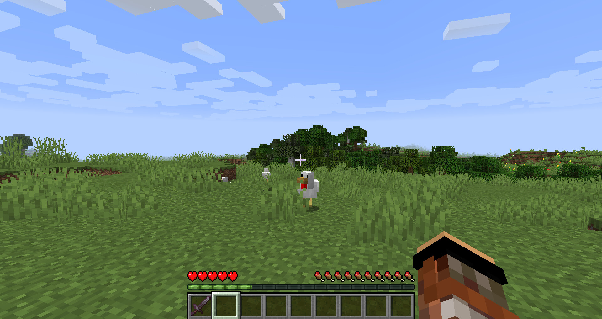 Woflje's Level Up HP! Datapack Minecraft Data Pack