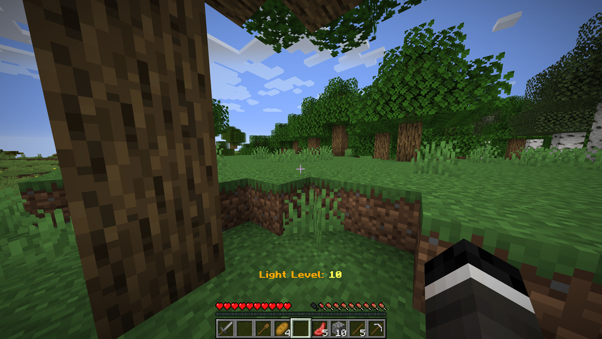 Light Level Checker -- Datapack! Minecraft Data Pack