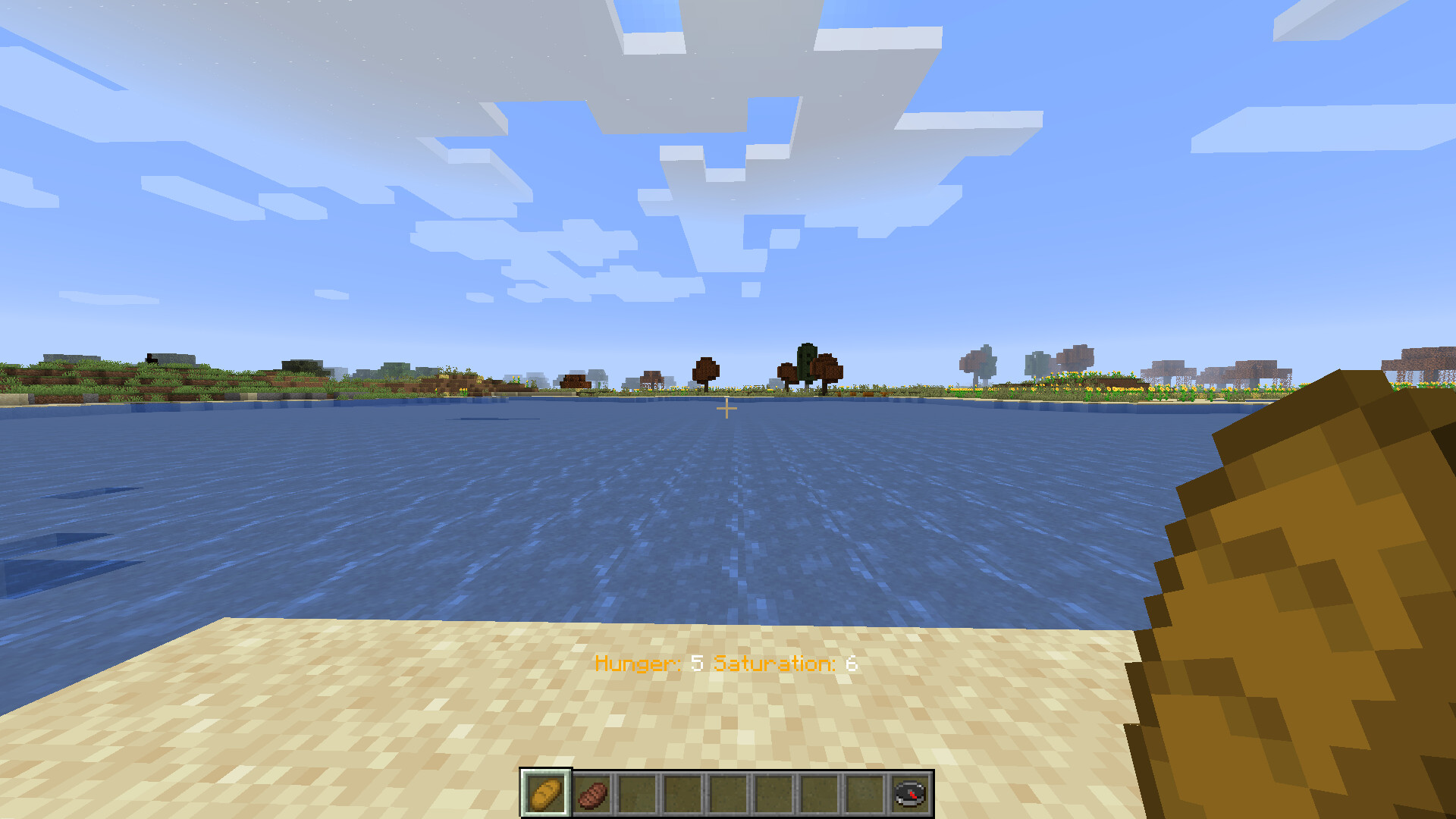 Food Infos Minecraft Data Pack