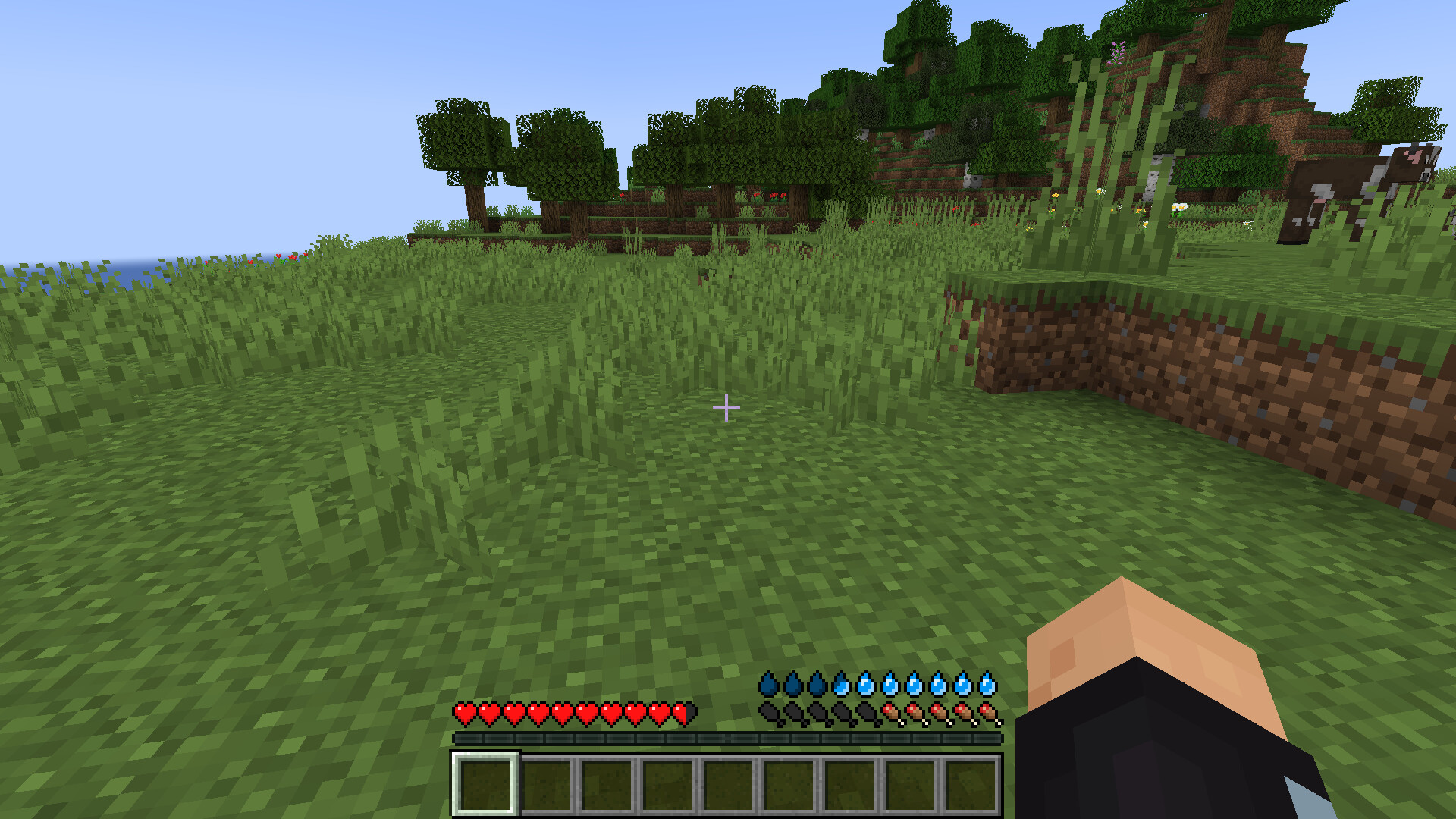 Thirst Datapack Minecraft Data Pack