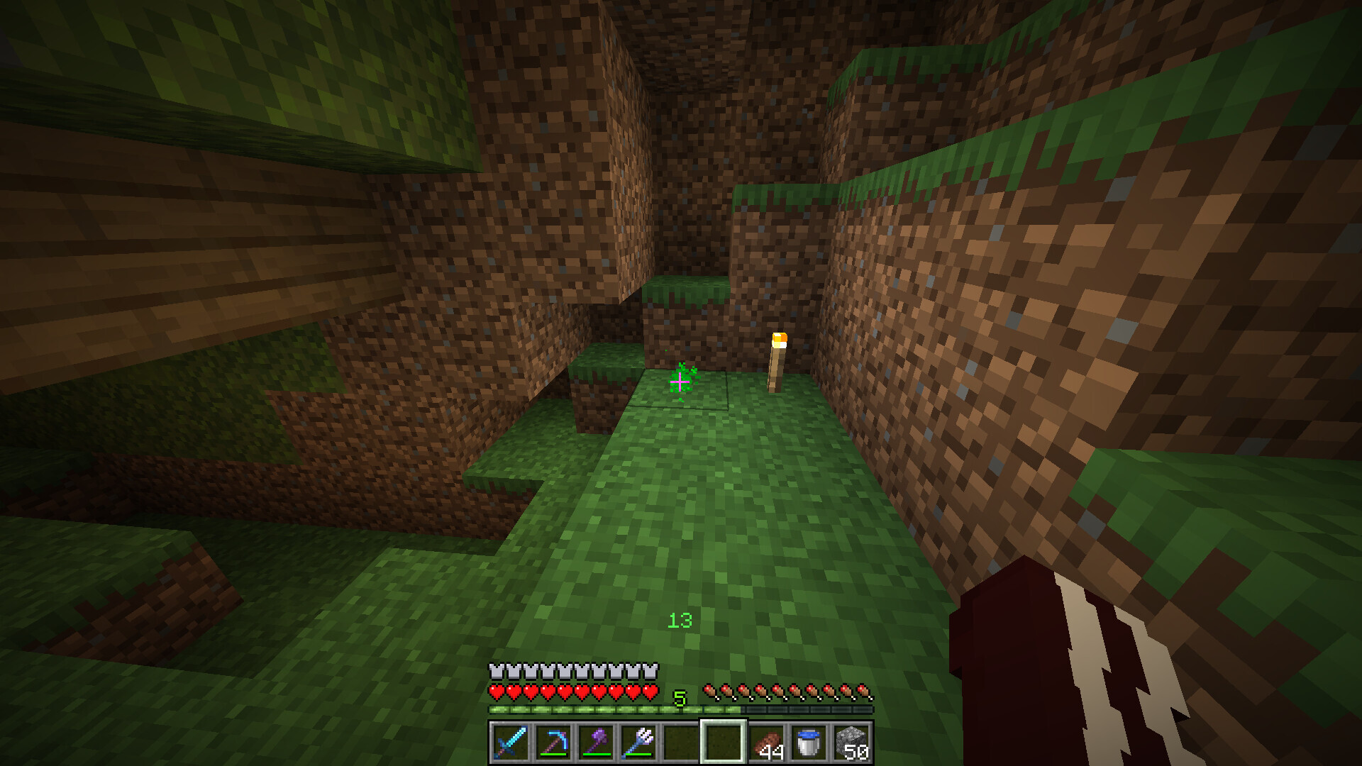 Light Level Checker Minecraft Data Pack