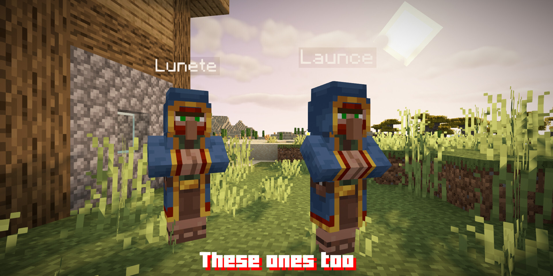 Villager Names Minecraft Data Pack