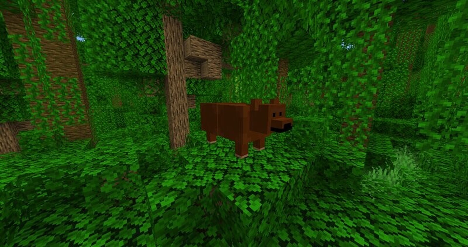 Brown / Grizzly Bears (Datapack + Texture Pack) [1.16] Minecraft Data Pack
