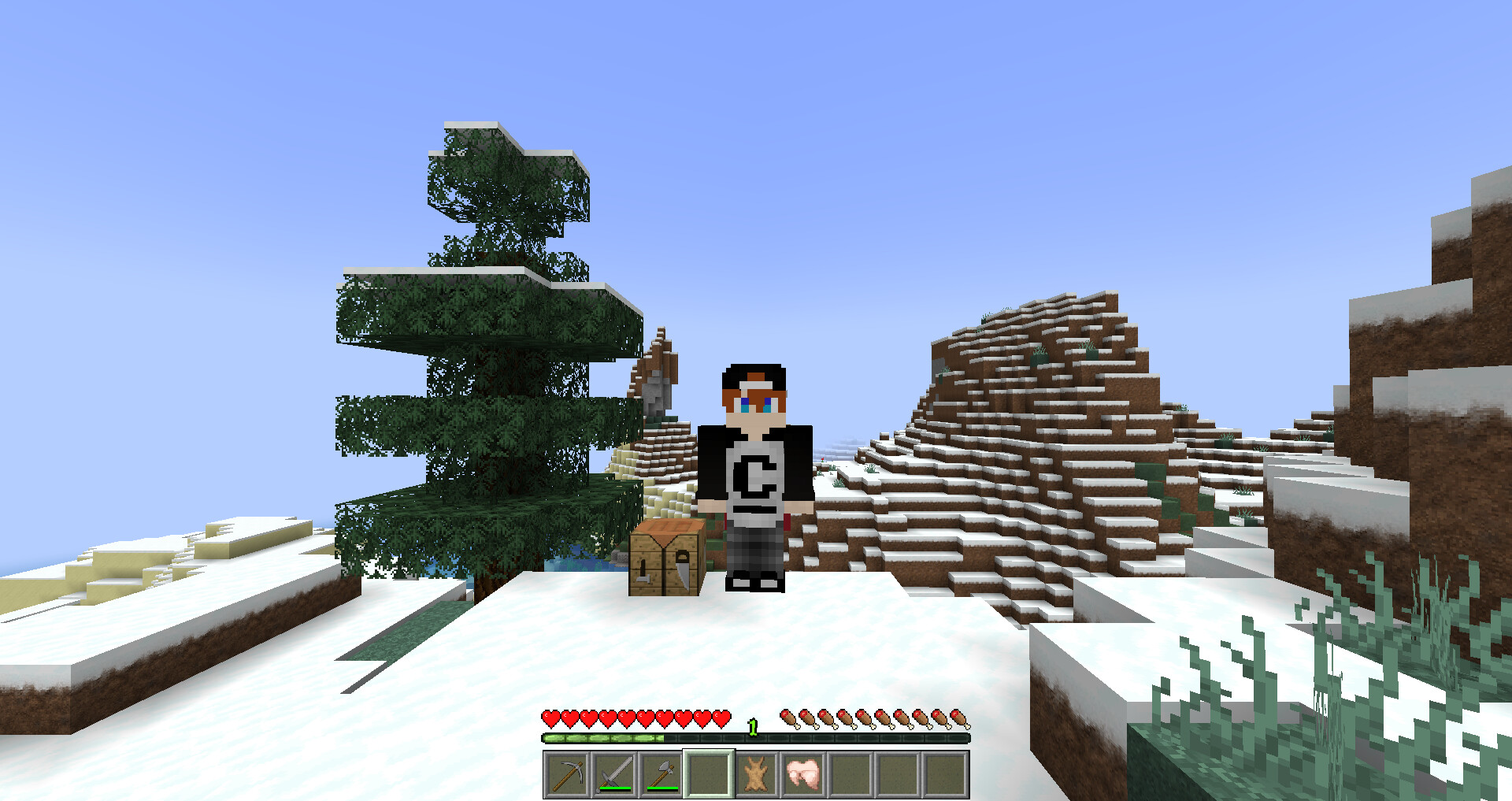 Minecraft but XP = your Size! Minecraft Data Pack