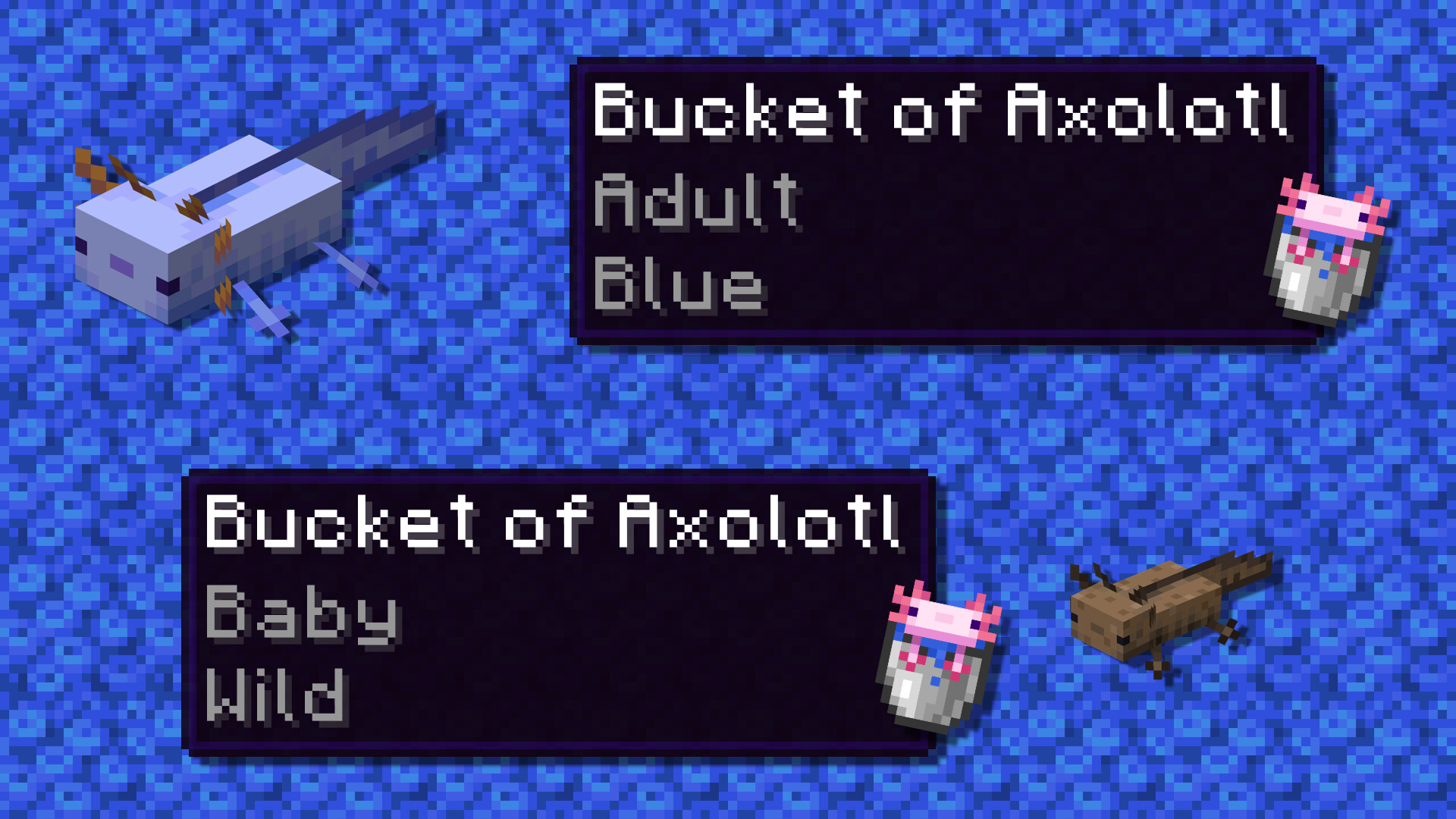 Who Is This Axolotl? Minecraft Data Pack