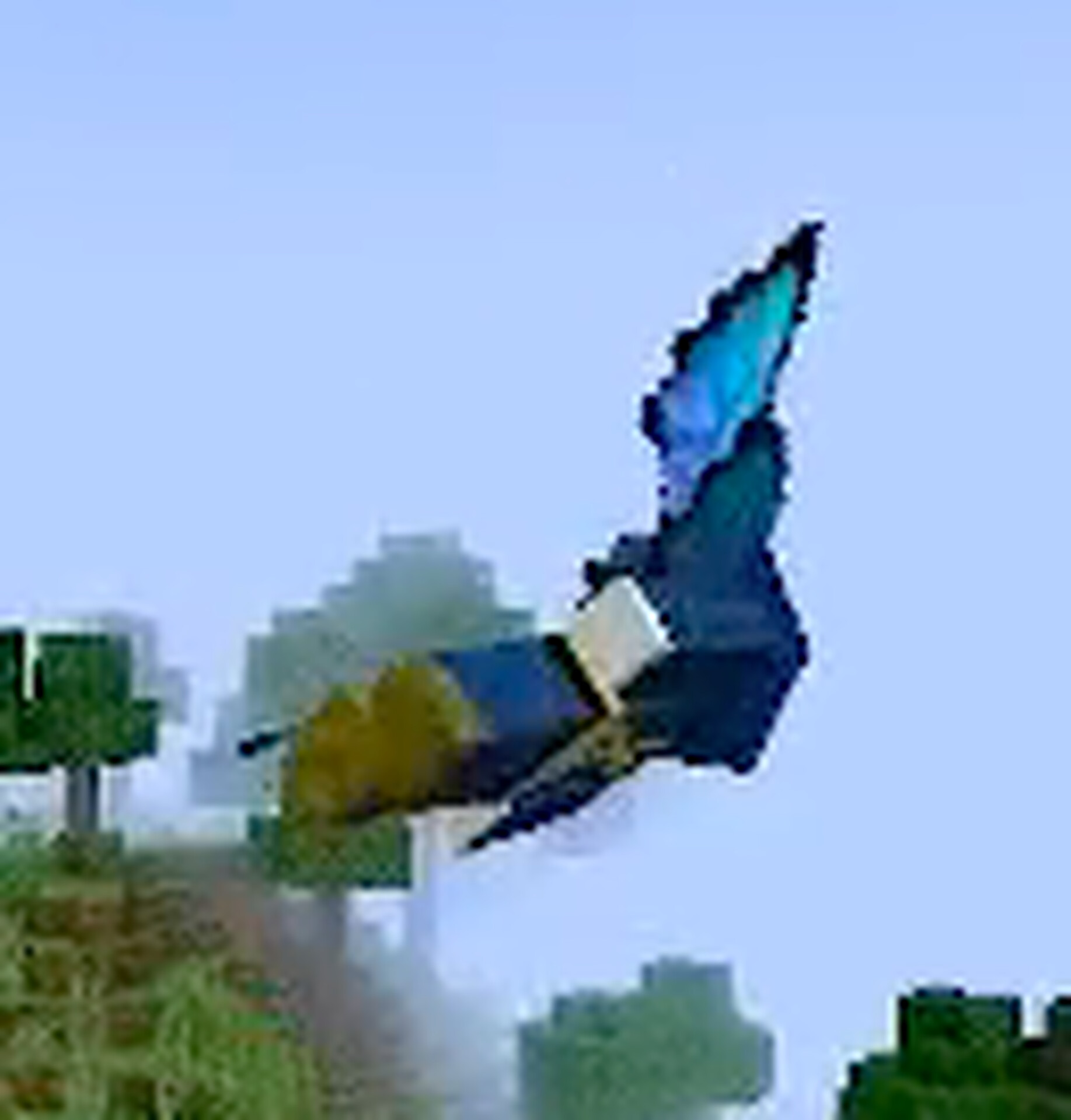 Crow origin Minecraft Data Pack