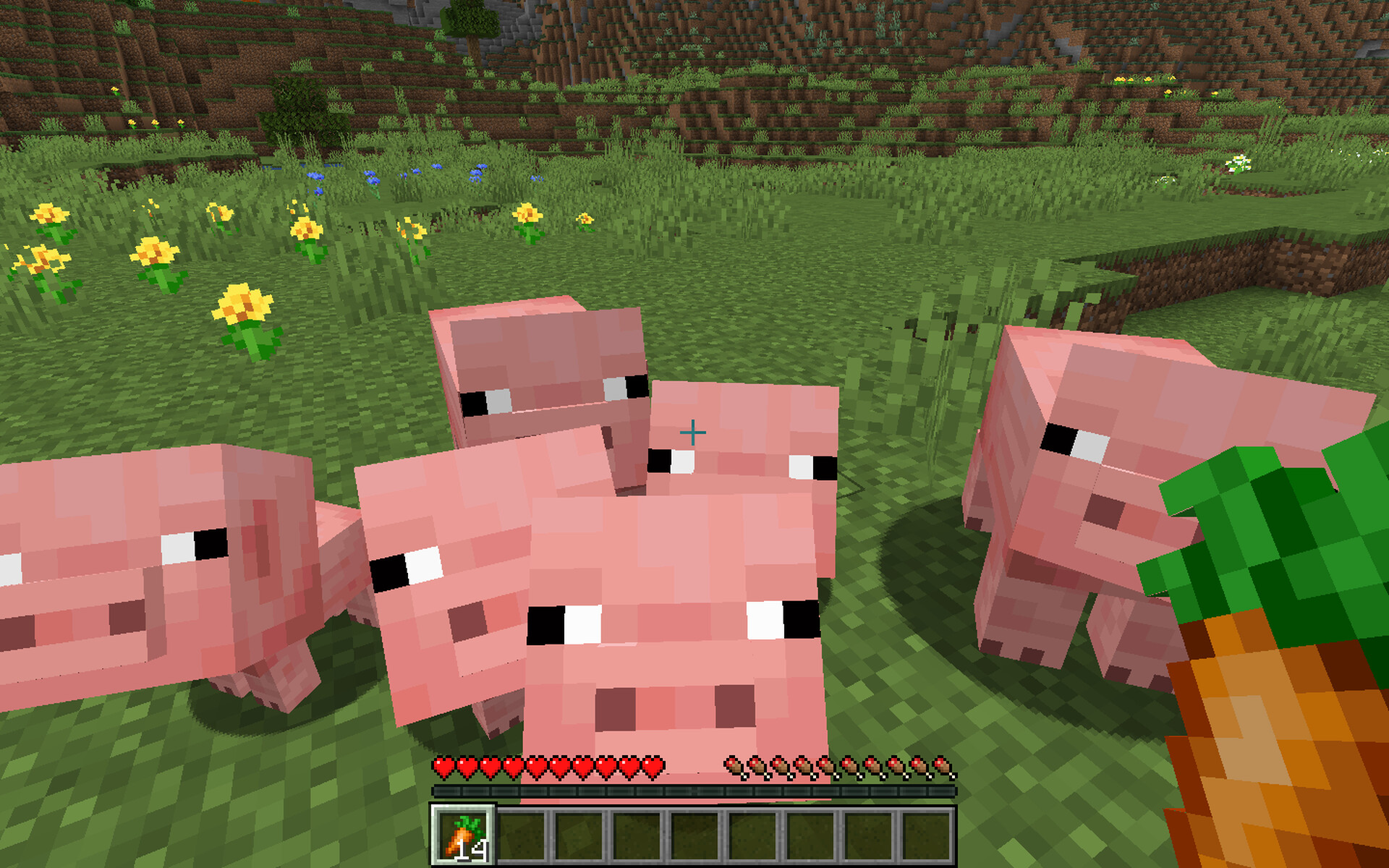 Plentiful Piglets Minecraft Data Pack