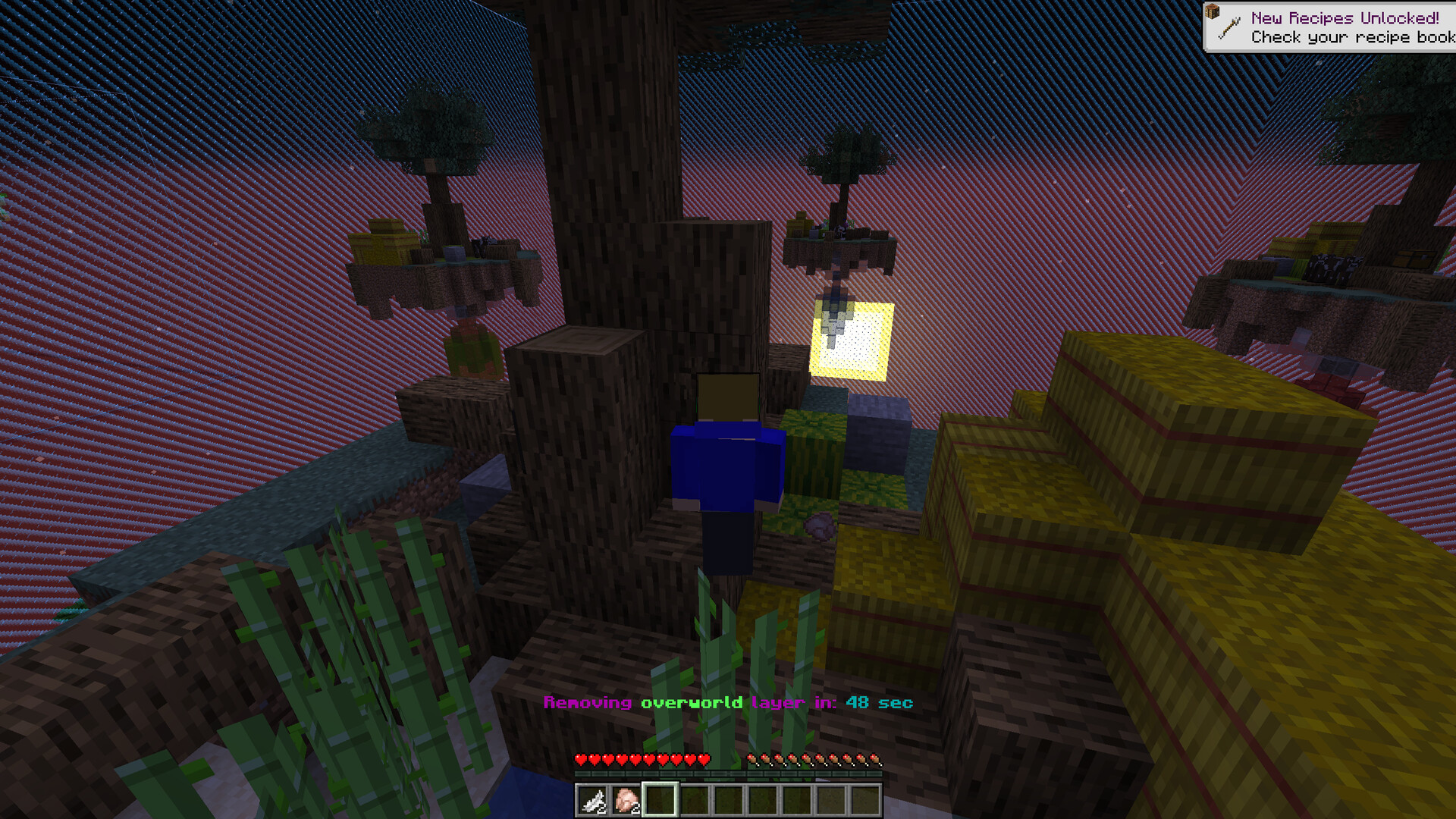 Levels: Multiplayer Minigame Minecraft Data Pack