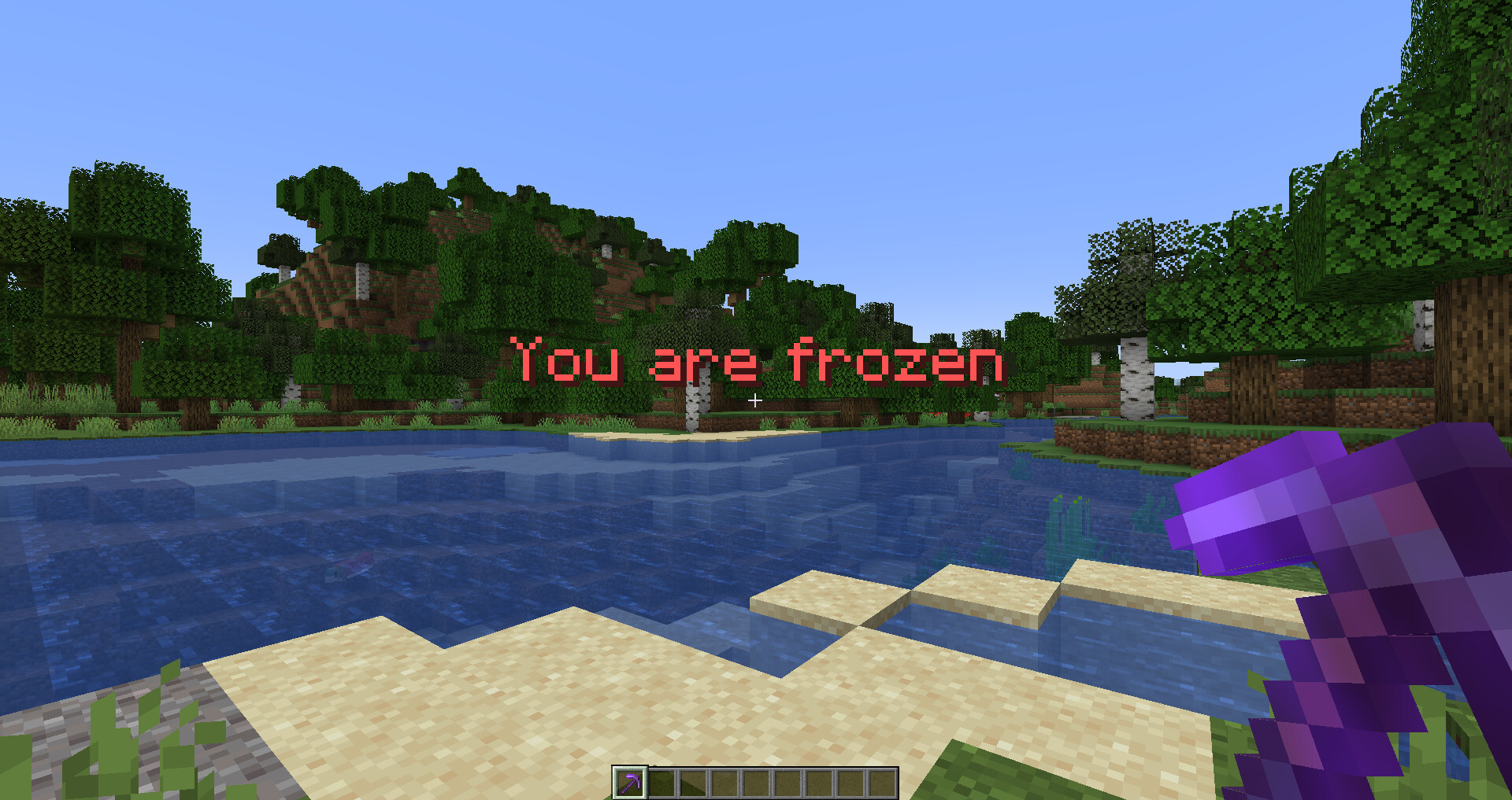 Freeze Player Admin Tools Minecraft Data Pack