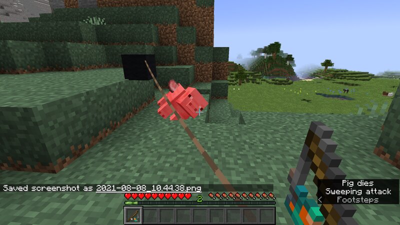 Flail thingy Minecraft Data Pack