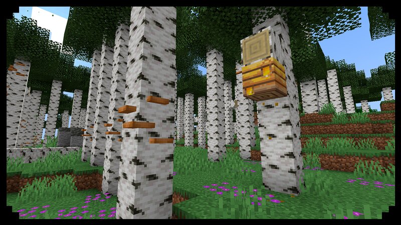 Birch forest concept from Minecraft Live 2021 Minecraft Data Pack