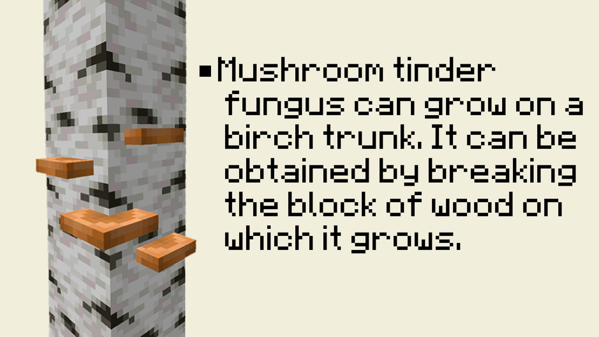 Birch forest concept from Minecraft Live 2021 Minecraft Data Pack