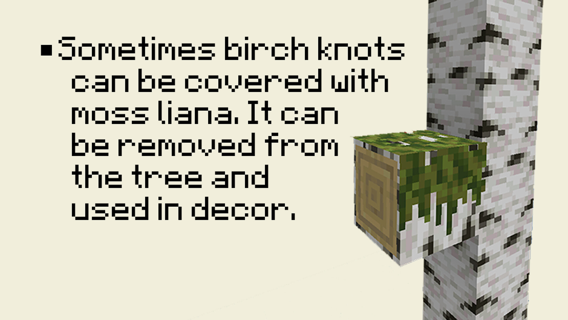 Birch forest concept from Minecraft Live 2021 Minecraft Data Pack