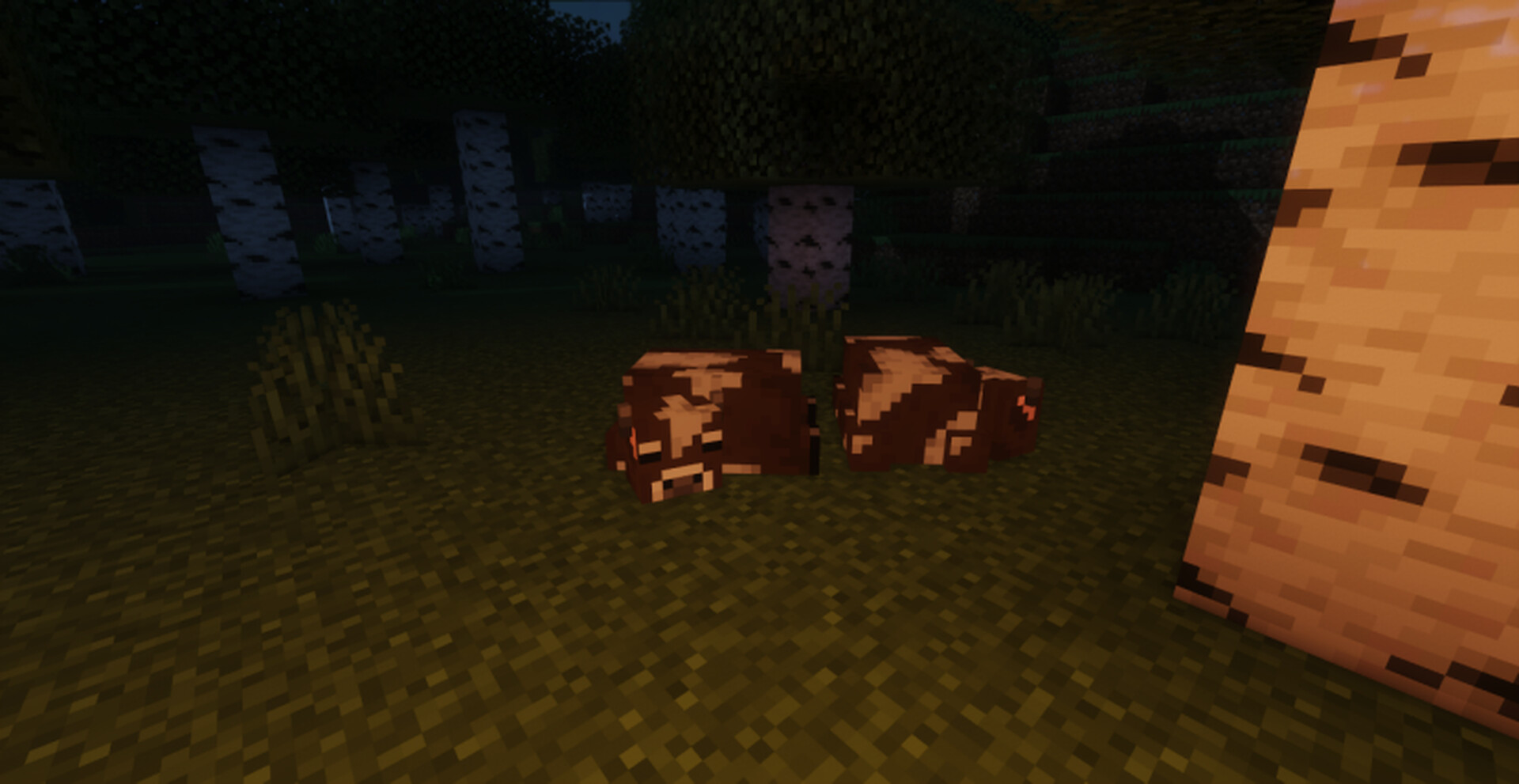Sleeping Mobs Datapack (Optifine) Minecraft Data Pack