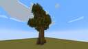 Growable 2x2 Oak trees Minecraft Data Pack