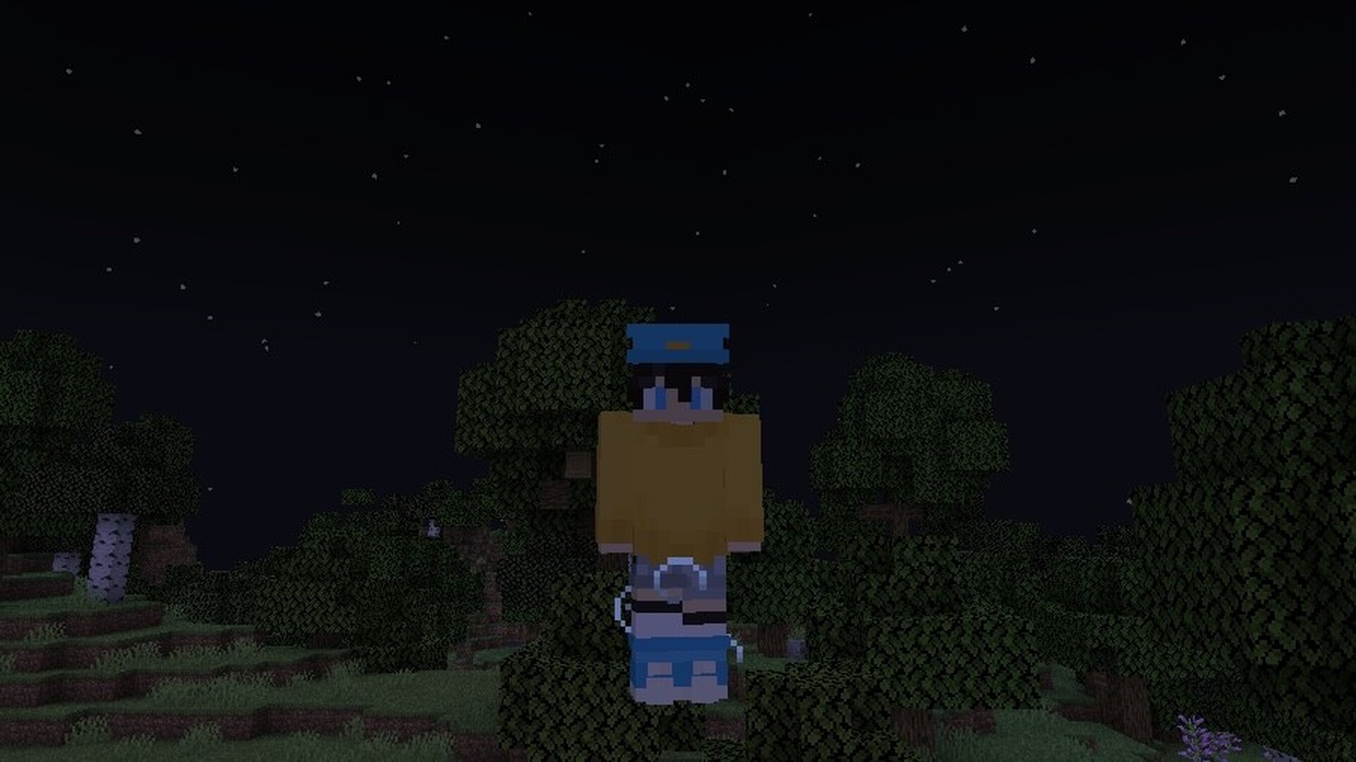 magnet origin Minecraft Data Pack