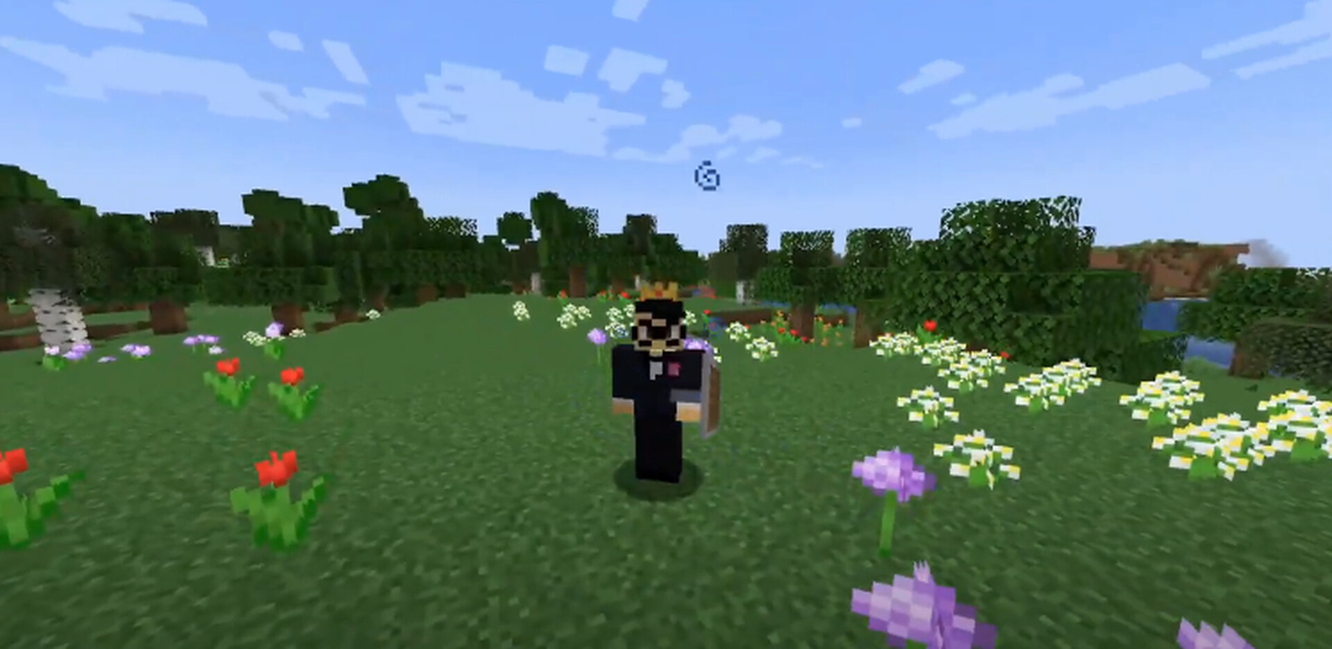 Queen Bee Mini-boss! Minecraft Data Pack