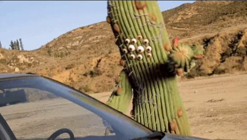 Cactus Armor Minecraft Data Pack