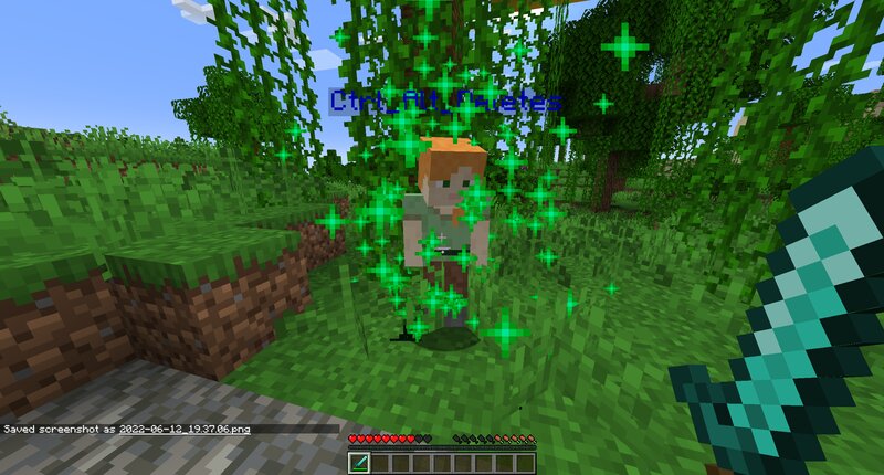 Third, last & double life by CrappyToast Minecraft Data Pack