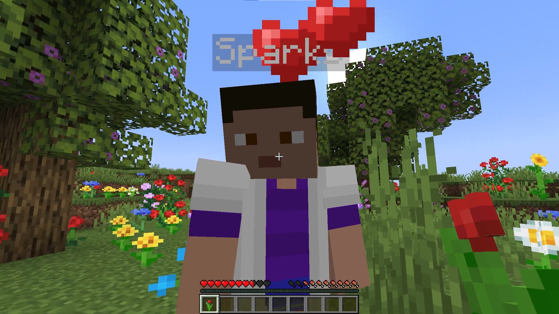 Sweethearts - Gamemode 4 Module Minecraft Data Pack