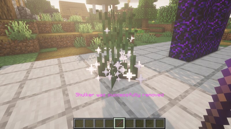 Entity Constructions Minecraft Data Pack