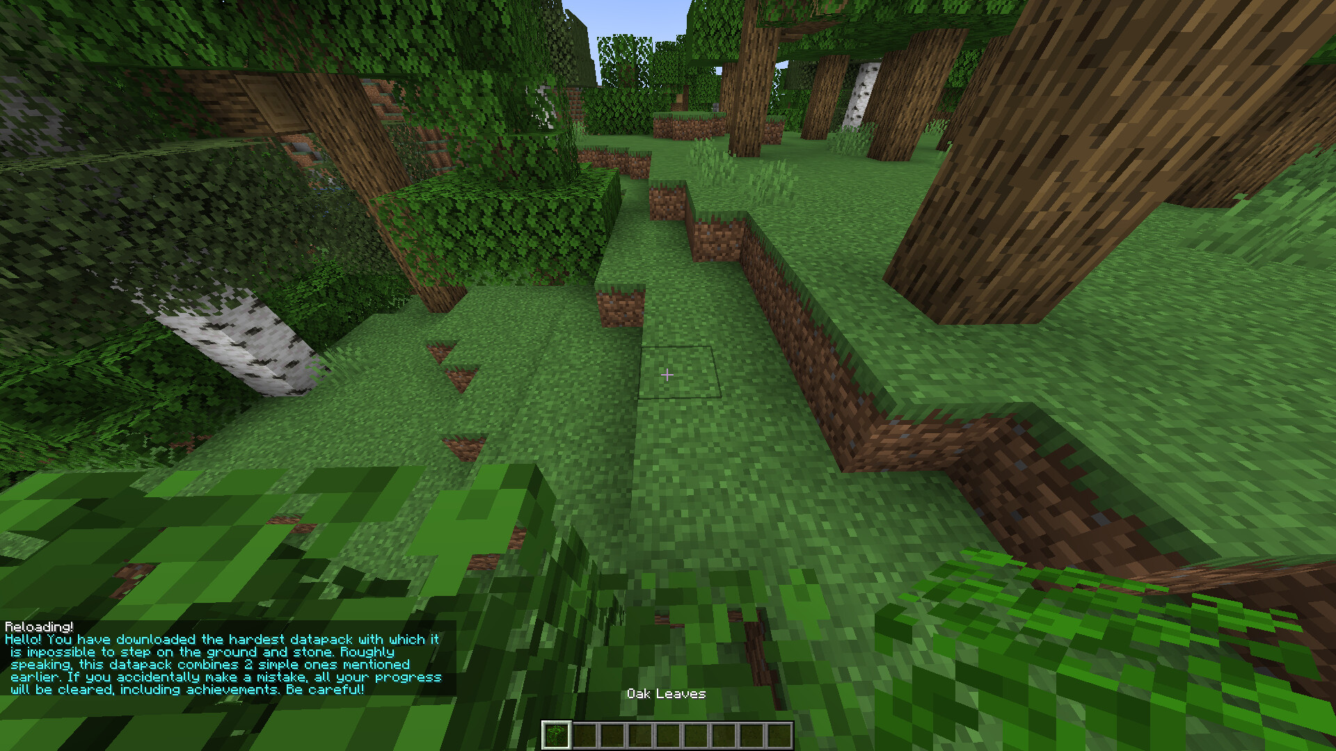Dont Touch Grassstone Minecraft Data Pack