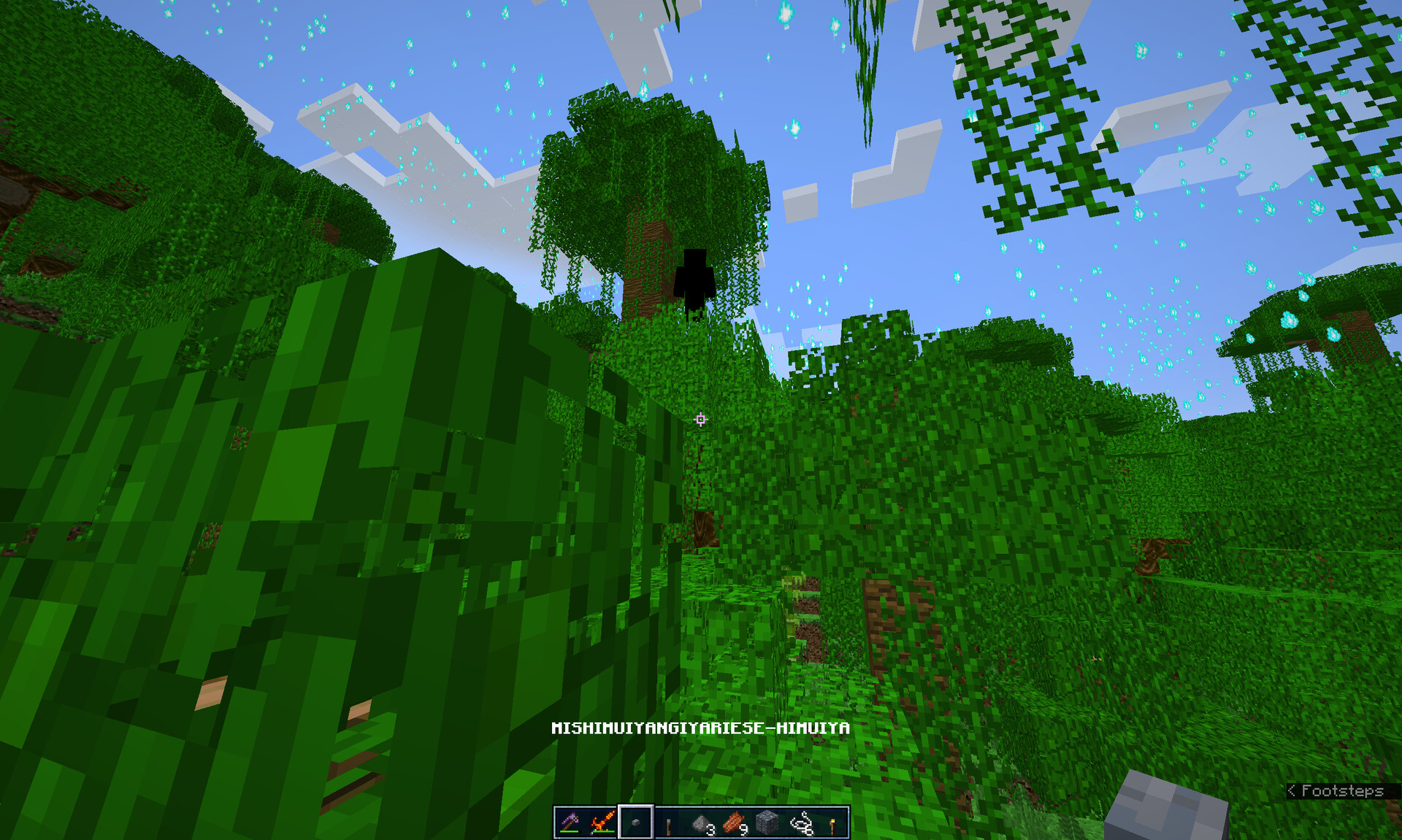 AlphaVer/Lilypad/[RD] data pack Minecraft Data Pack