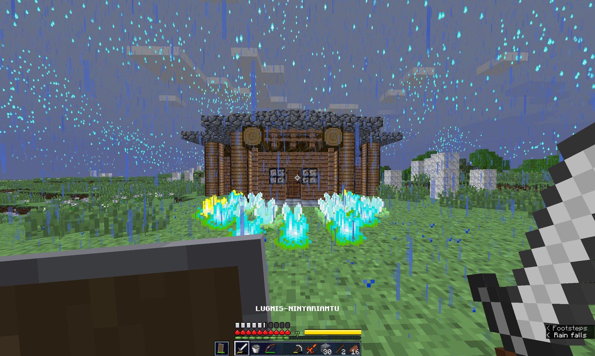 AlphaVer/Lilypad/[RD] data pack Minecraft Data Pack