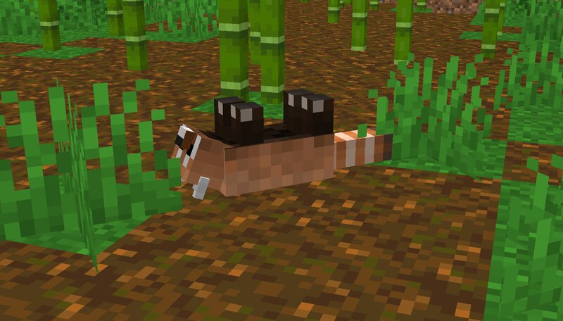 Red Pandas | Minecraft 1.18 - Raising Awareness! Minecraft Data Pack