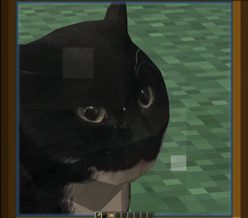 Maxwell The Cat Minecraft Data Pack