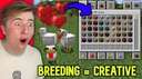 minecraft but breeding gives creative mode Minecraft Data Pack