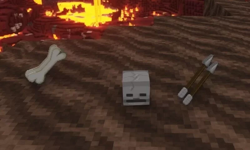 Skeleton skull from the Nether 1v3 Minecraft Data Pack