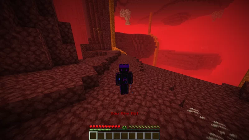 Temperature (Actually well made) Minecraft Data Pack