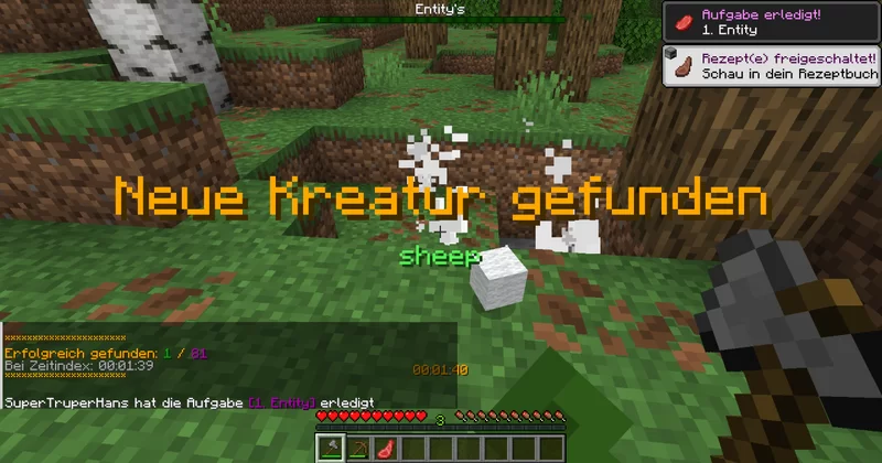 Kill all Entity's Minecraft Data Pack