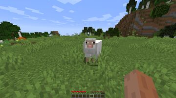 1.16 Minecraft Data Packs | Planet Minecraft Community