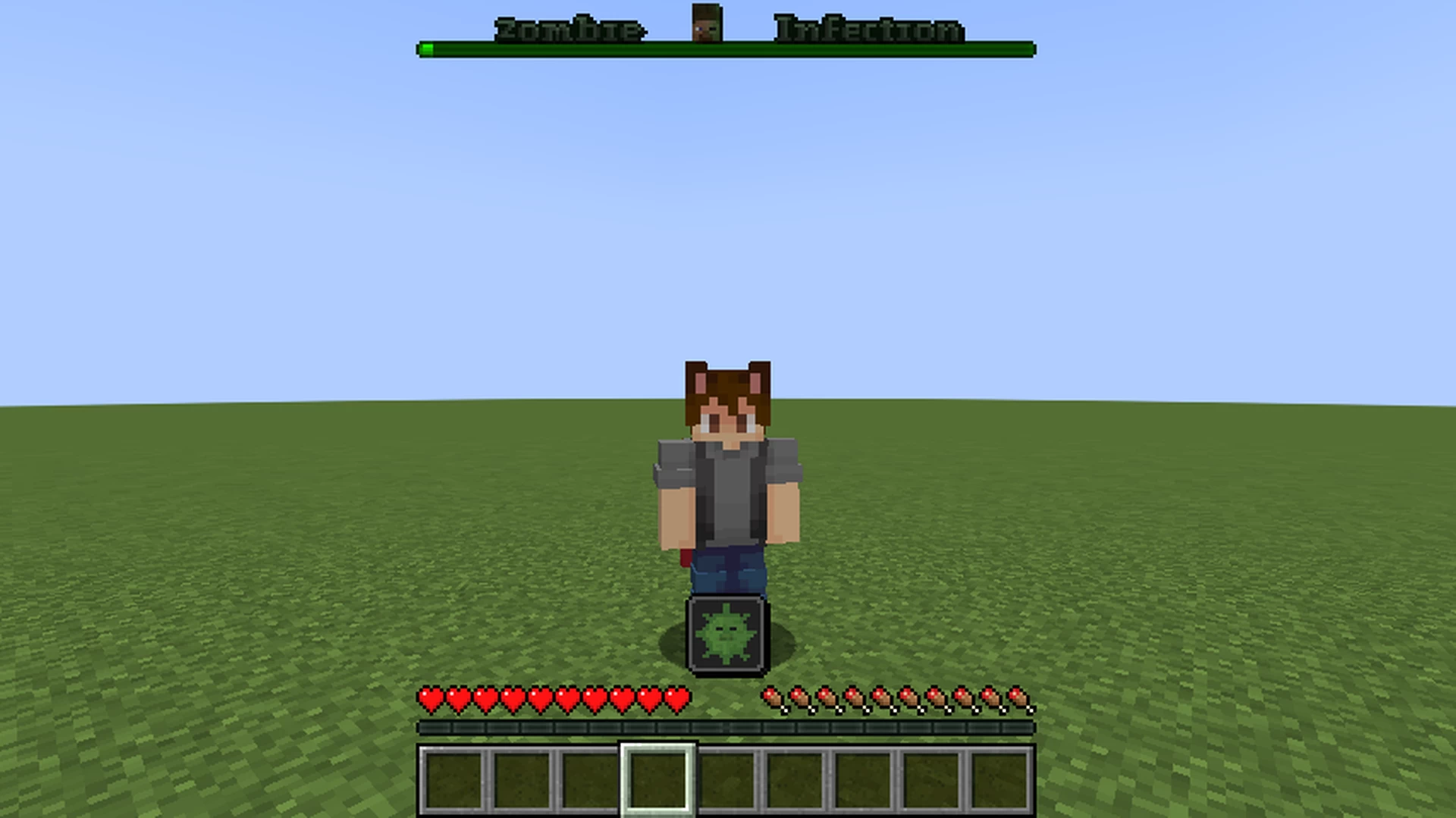 Minecraft Zombie Infection