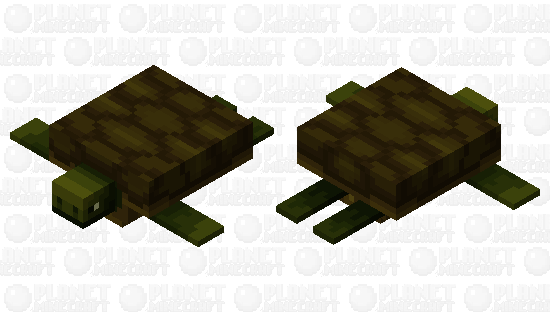 Emmanuel the Tortoise | 🐢 Minecraft Mob Skin