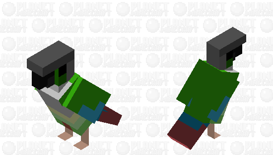 Green Cheek Conure Minecraft Mob Skin