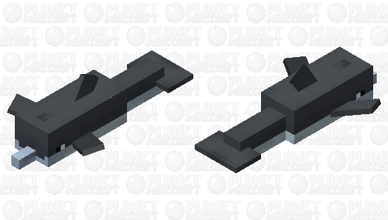 Orca Minecraft Mob Skin